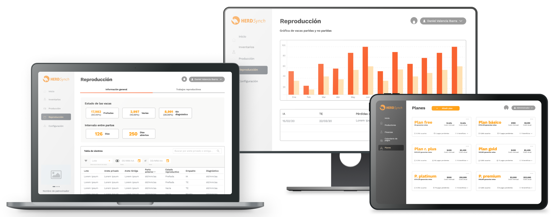 Aleate - Desarrollo de software